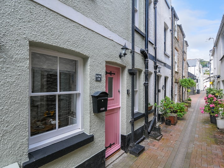 Sea Pinks - Looe