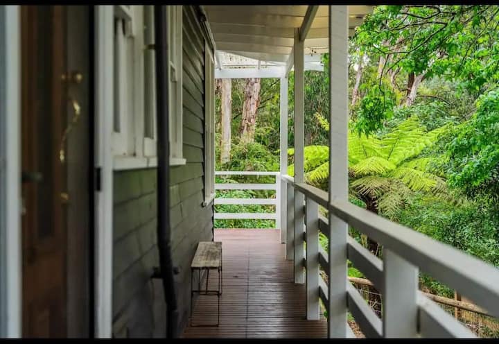 Warburton Bushland Retreat - Warburton