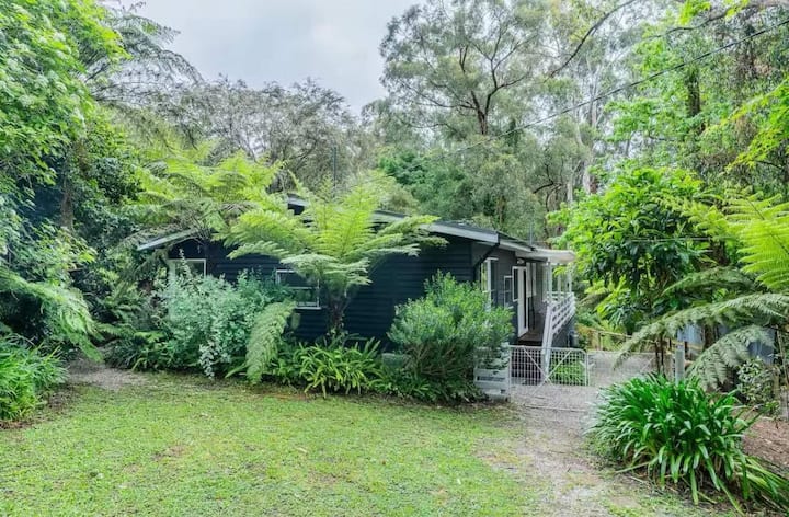 Blissful Bushland Retreat - Mount Baw Baw