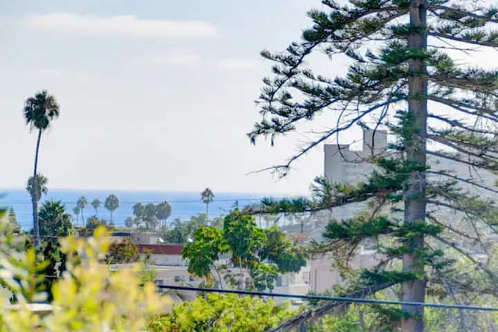 Luxury/cozy/private Pacific Beach Retreat For 2! - Birch Aquarium at Scripps Institution of Oceanography