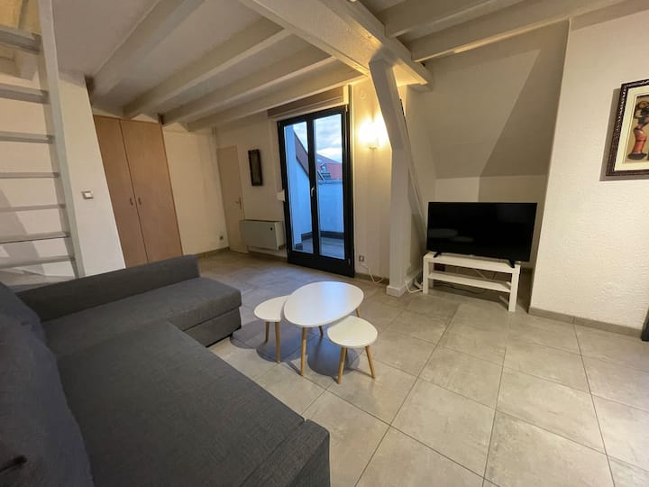 Fathala, Appartement Lumineux, Face à La Gare - Sarrebourg