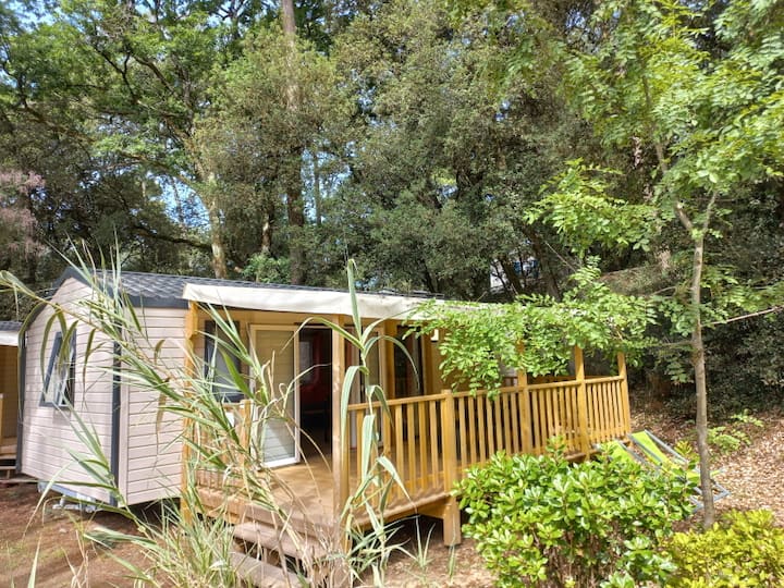 Mobil Home Grand Large 4 Pièces 6/8 Personnes + T - Jard-sur-Mer