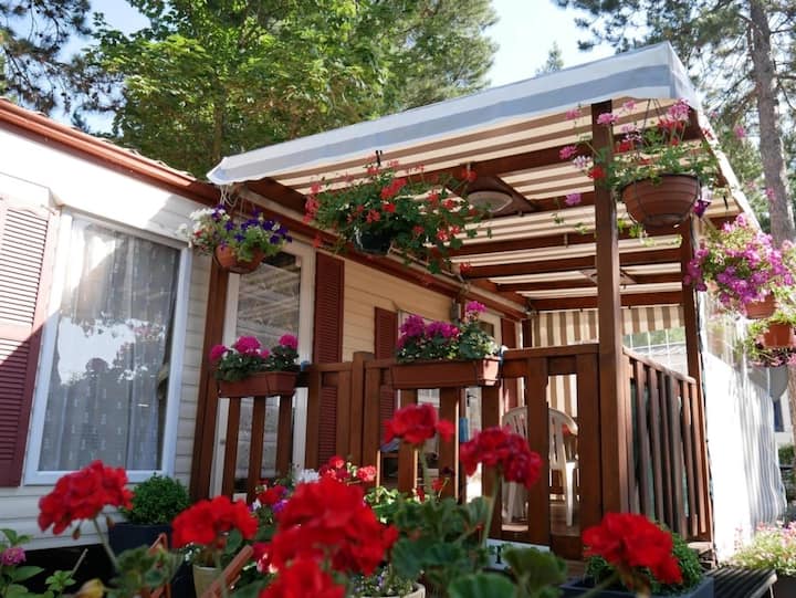Zecamping 4* Mobil Home 28m² Piscine - Sallertaine