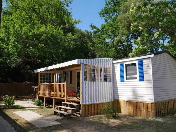 Camping 4 éToiles - Piscine  - Ccaeggb - La Tremblade
