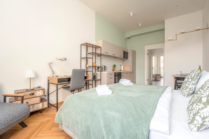 New Studio For A Great Price - No. 304 - Praga