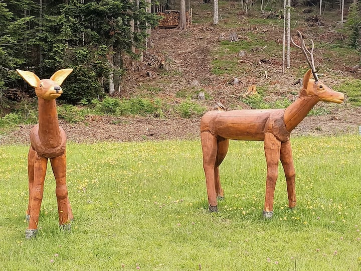 Natura E Comfort - Santo Stefano di Cadore
