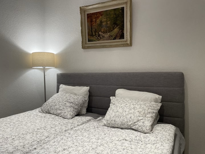 Central Montreux 2-br Renovated Apt. With Balcony - Le Bouveret