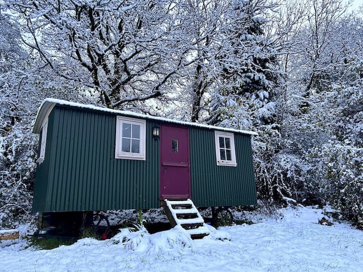 Tranquil Cabin Retreat Near Chepstow - 英國