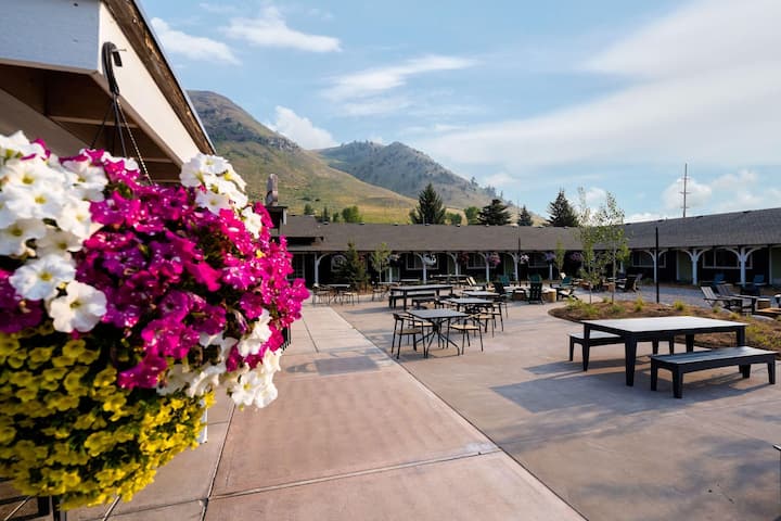 3 Pet-friendly Units, Onsite Pool, Free Parking - Jackson, WY
