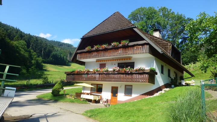 Ferienwohnung Bergquelle - Kirchzarten