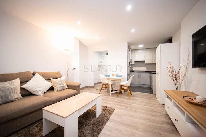 Gascona Apartamento - Oviedo