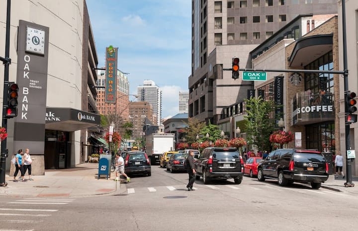 Downtown Vintage Chicago Apt - Chicago