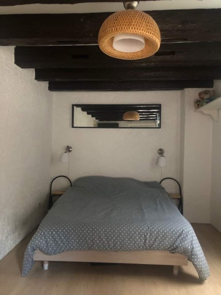 Appartement 3 Personnes Avec Vue Historique - Colmar
