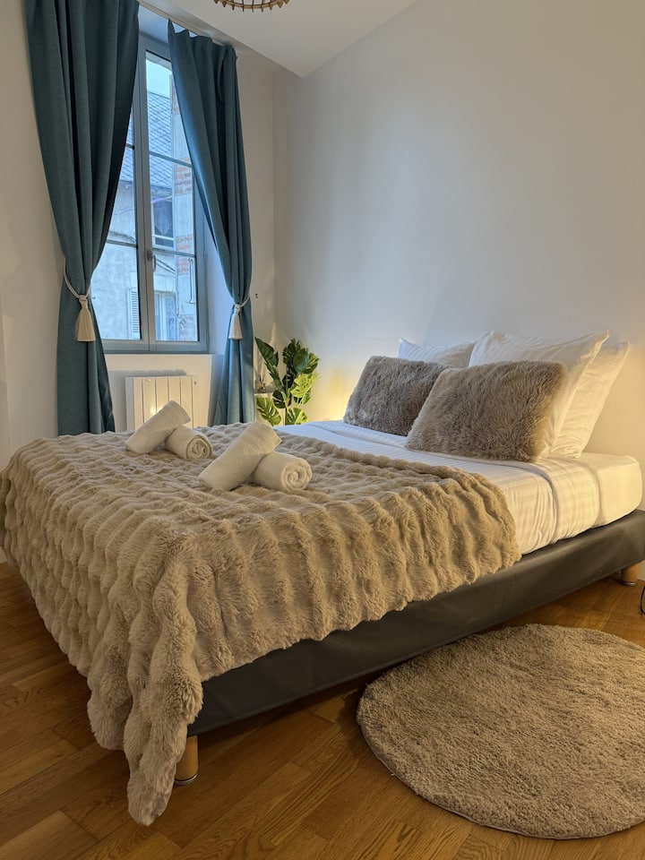 Les 3 Rois: Appartement Edina, Beauval Et Châteaux - Romorantin-Lanthenay