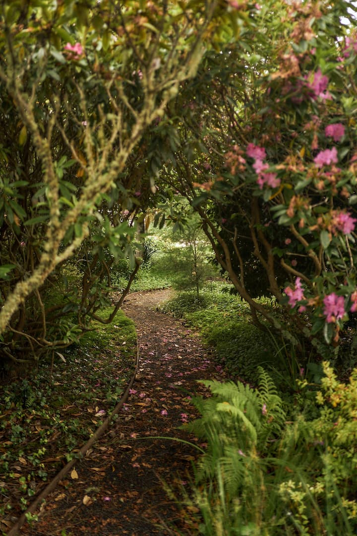 1867 Country Manor & Modern Lodge - Mendocino, CA