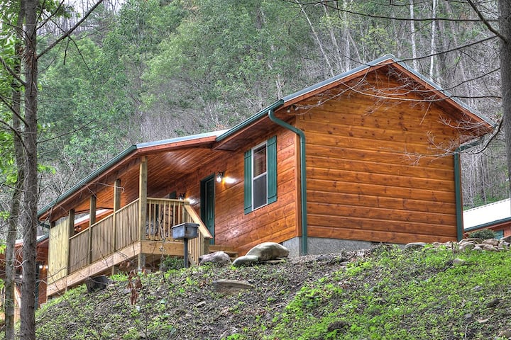 Animal House | Hot Tub + Wi-fi - Gatlinburg