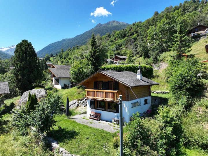 Chalet Grepon By Interhome - Nendaz