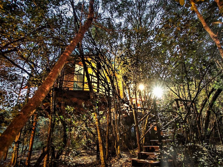 Philosophers Perch -Family Treetop Suite - Sedgefield