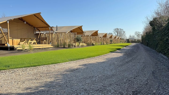Safari Lodge - Petten