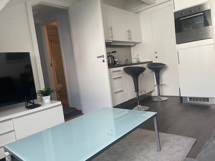 Located At Heart Of City Center - Oslo