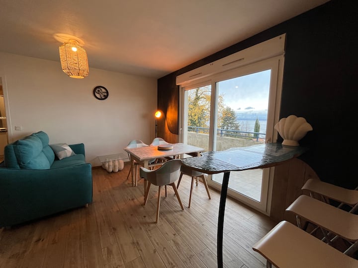 Appartement ÉVian-les-bains, 2 Pièces, 4 Pers. - Évian-les-Bains
