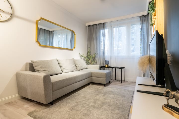 Spodek Stylish Apartment - Katowice