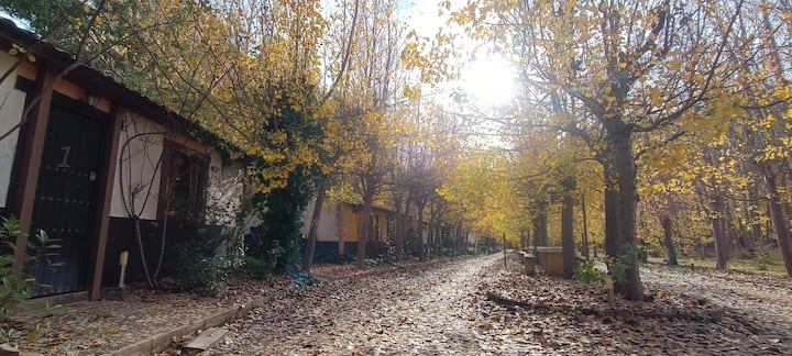 Casas Rurales Vado De Tus Cabaña B5 Con Piscina - Riópar