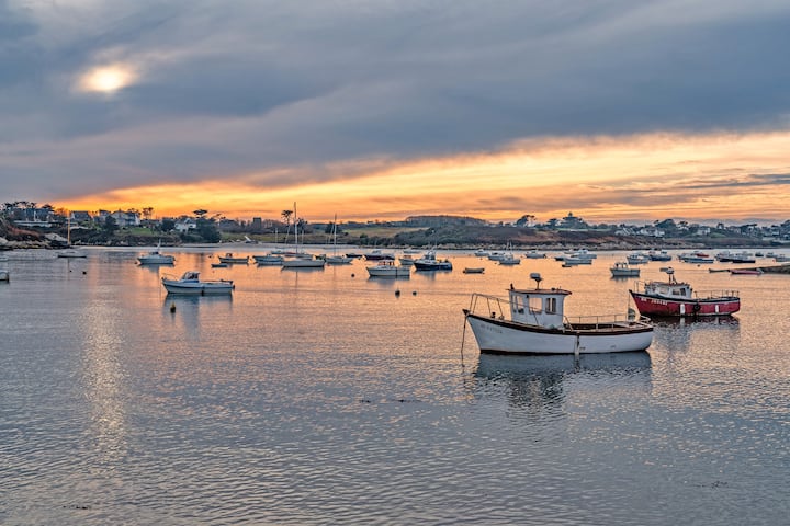 Ty Abéric Maison En Front De Mer - Landéda