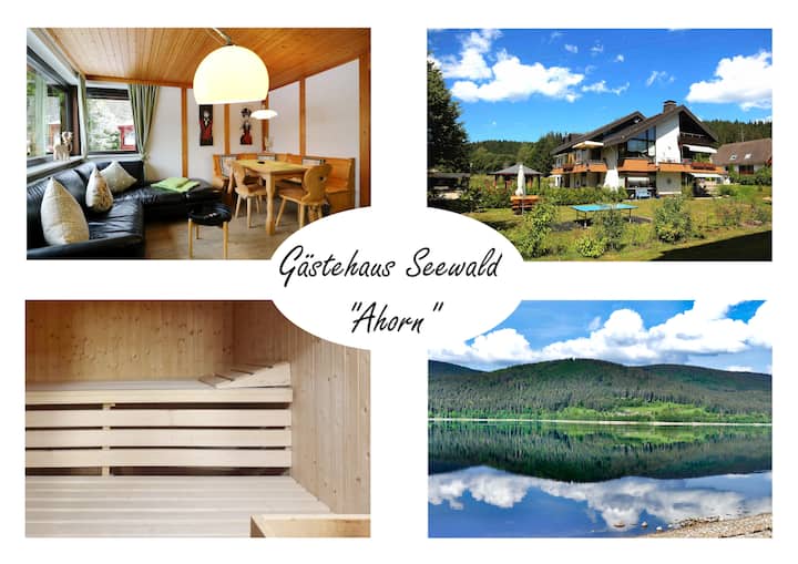 Guesthouse Seewald - "Ahorn", Schluchsee-blasiwald - Schluchsee