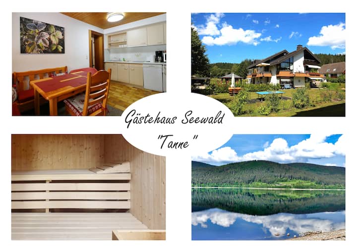 Guesthouse Seewald - "Tanne", Schluchsee-blasiwald - Schluchsee