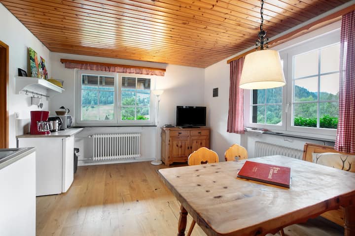 Wohnung 1 - Familienappartement - Feldberg