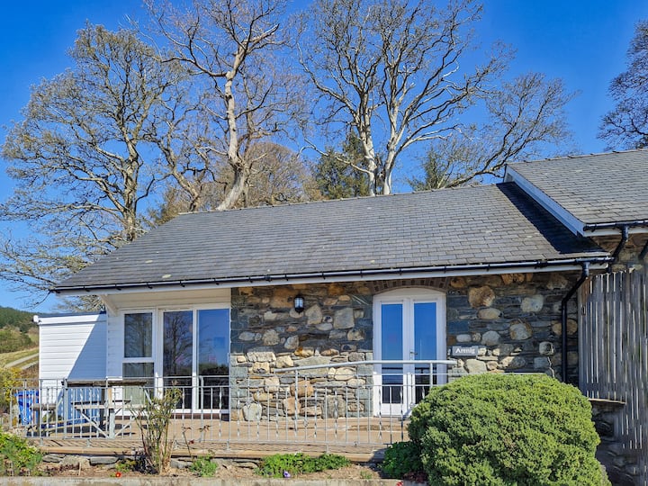 Arenig - Uk48508 - Bala