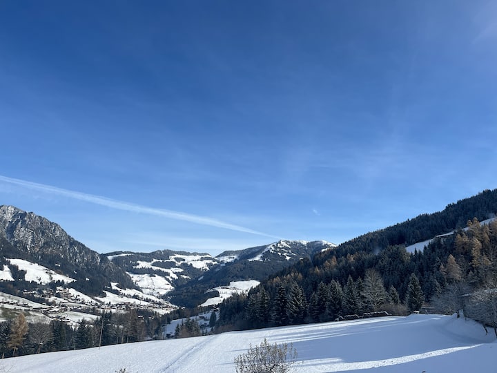 Ferienwohnung Thumerhof - Alpbach