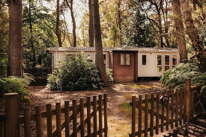 Slow You Down - Holt