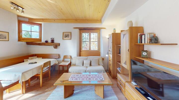 Apartment Stiffler Veglia - Pontresina