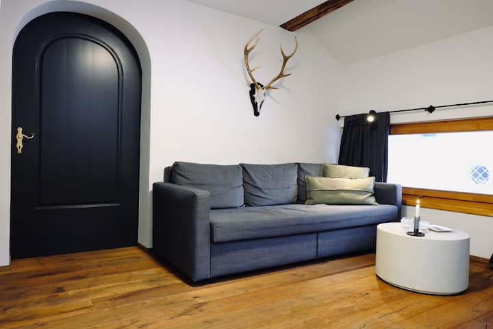 Apartment Euforia - Samaden