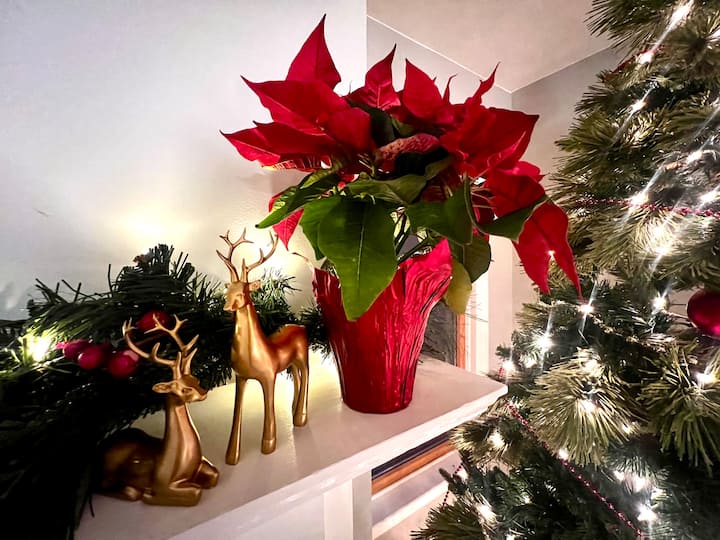 Charming 3br Farmhouse • Wine Country Getaway - Marshall, VA