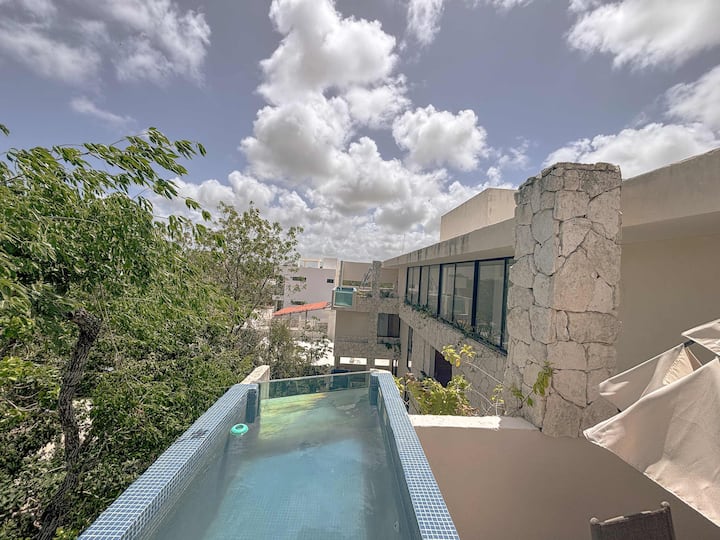 Penthouse De Luxe Sur 2 ÉTages · 3 Chambres Avec T - 墨西哥