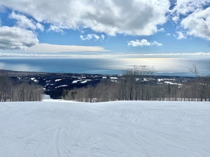 Lutsen Mtn Ski-in/ski-out, A+ Views Of Moose Mtn - Lutsen, MN
