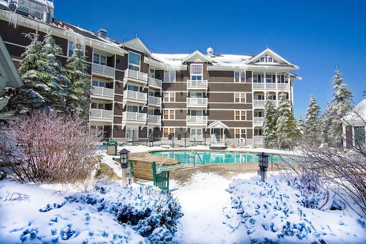 Allegheny Springs 414: Junior Studio Slopeside - Snowshoe, WV