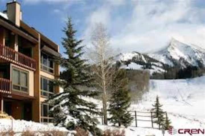 High Mountain Getaway - Crested Butte, CO