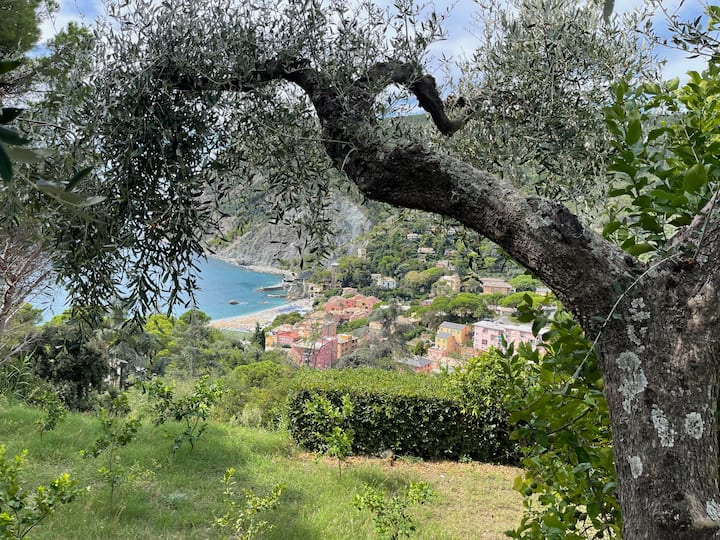 Historical Villa 'The Birdhouse' - Garden & Views - Monterosso al Mare