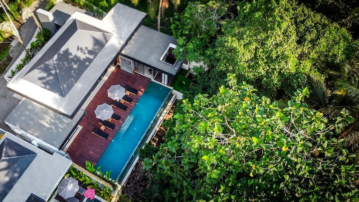 Bergembiralah: 3br Villa With Pool And Jungle View - Ubud