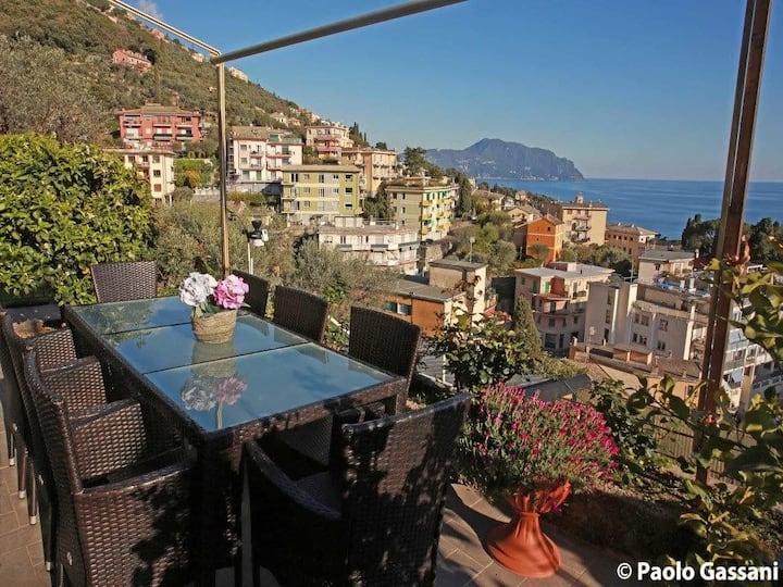 Gli Ulivi Di Bogliasco - Ulivi 3 - Bogliasco
