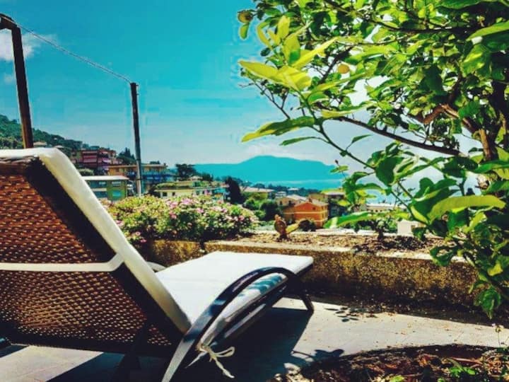 Gli Ulivi Di Bogliasco - Ulivi 3 - Bogliasco