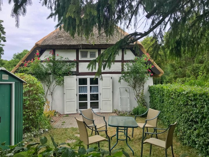 Doppelhaushälfte Nr. 2 Im Feriengarten - Lohme