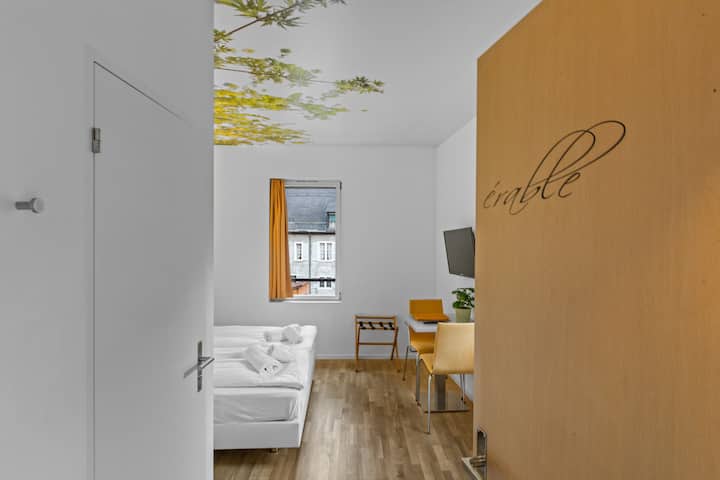 Magnifique Chambre Double Au Coeur De Sierre - Crans-Montana