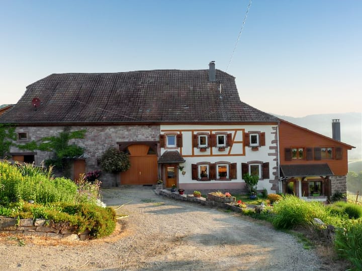 Maison à Sainte-croix-aux-mines - Riquewihr