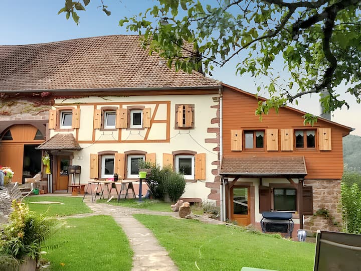 Maison à Sainte-croix-aux-mines - Sainte-Marie-aux-Mines
