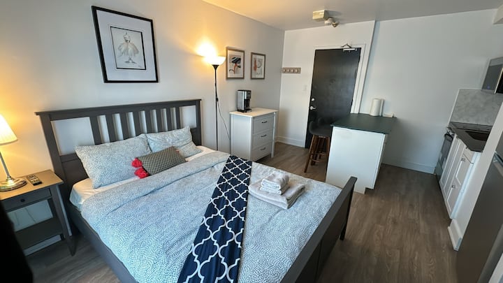 Cozy Studio Downtown Montreal - Montréal